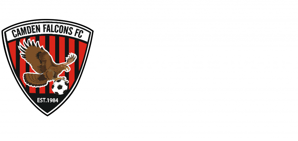 MiniRoos/SSG National Playing Formats and Rules - Camden Falcons