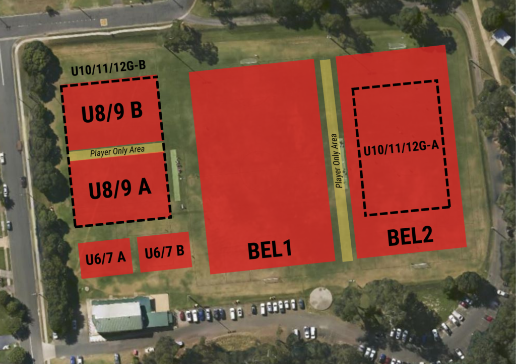 Field Layout - Camden Falcons